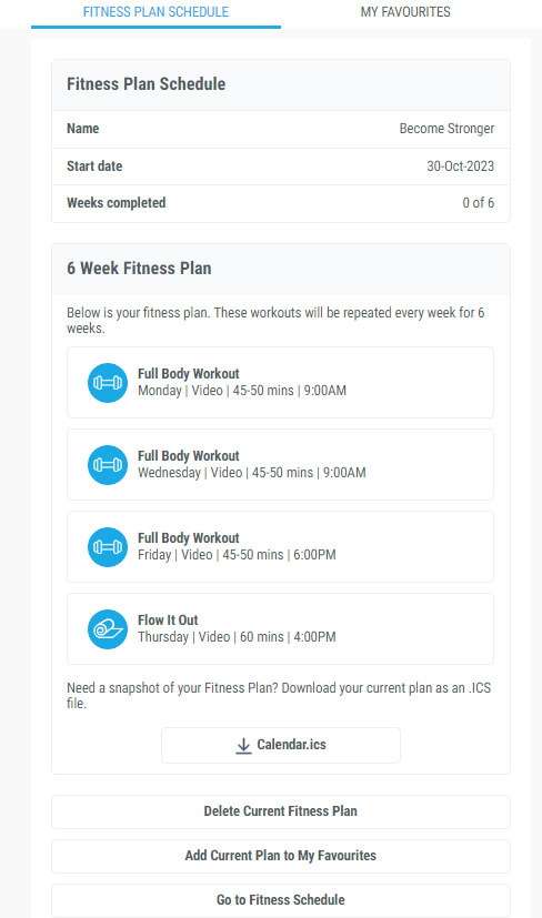 How can I save a 6 Week Fitness Plan? – My Viva Inc.